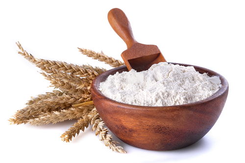 Measure The Color Of Flour | Flour Spectrophotometers