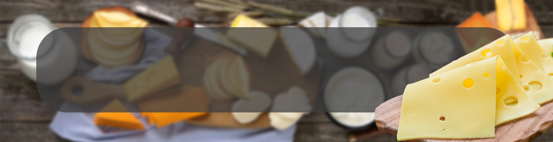 Sliced Cheese Color Measurement Solutions | Measure Sliced Cheese Color