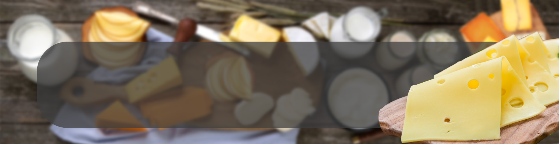 Sliced Cheese Color Measurement Solutions | Measure Sliced Cheese Color