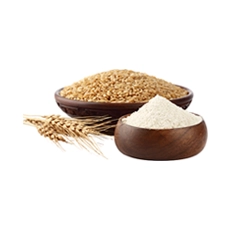 Food Color Measurement Devices | Measure Colors of Food