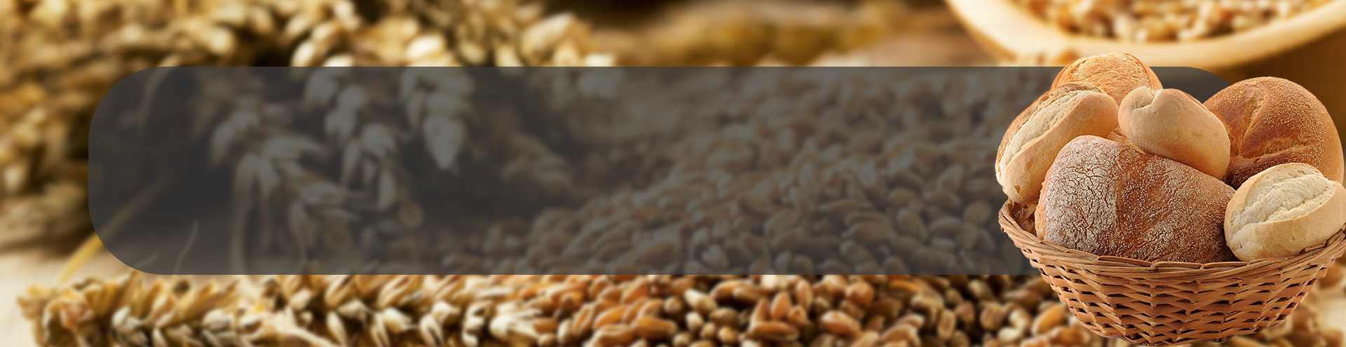 Measure The Color Of Bread | Bread Spectrophotometers