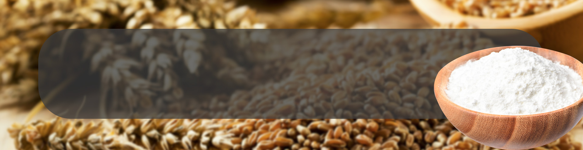 Measure The Color Of Flour | Flour Spectrophotometers