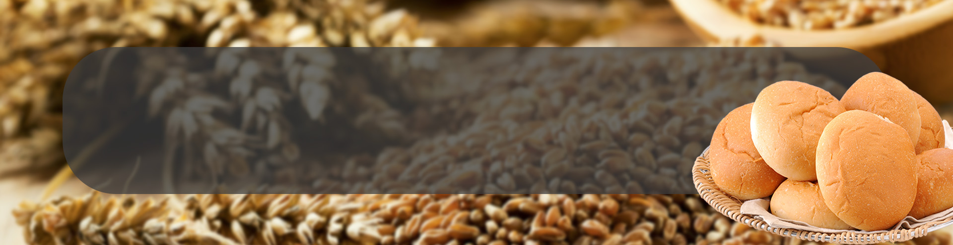 Measure The Color Of Buns | Bun Spectrophotometers