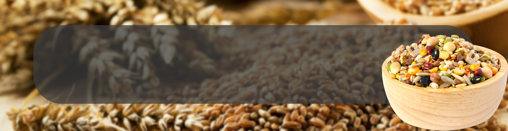 Measure The Color Of Raw Grains With Spectrophotometers