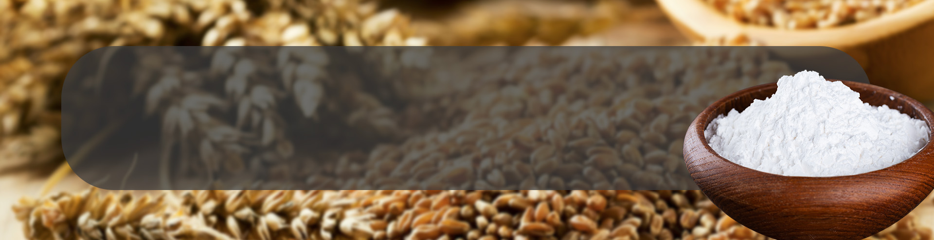 Measure The Color Of Starch | Starch Spectrophotometers