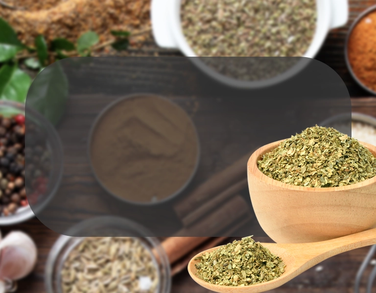 Measure The Color Of Seasoning | Seasoning Spectrophotometers