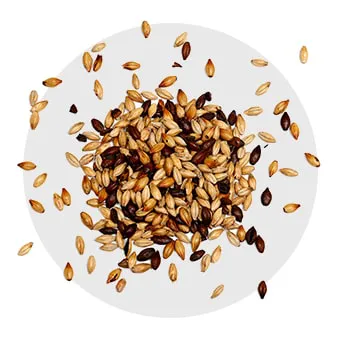 Food Color Measurement Devices | Measure Colors of Food